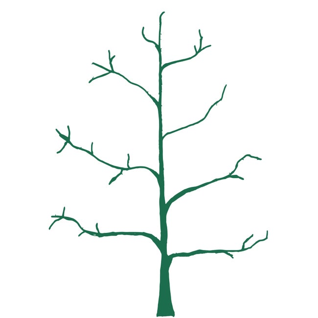 Deciduous Fruit Trees