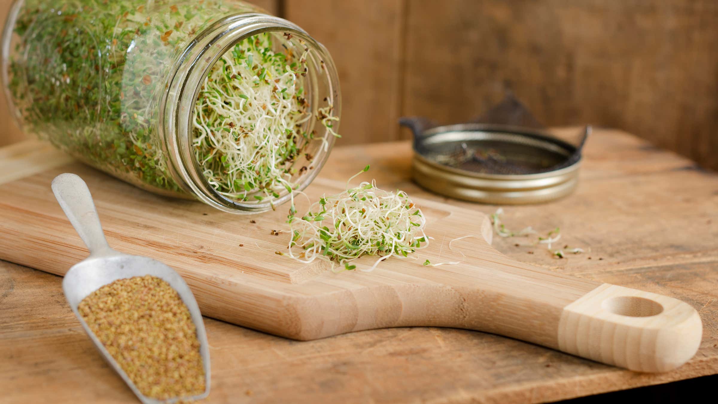 All About Microgreens and Sprouts