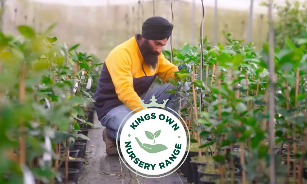 Grow Well With Kings