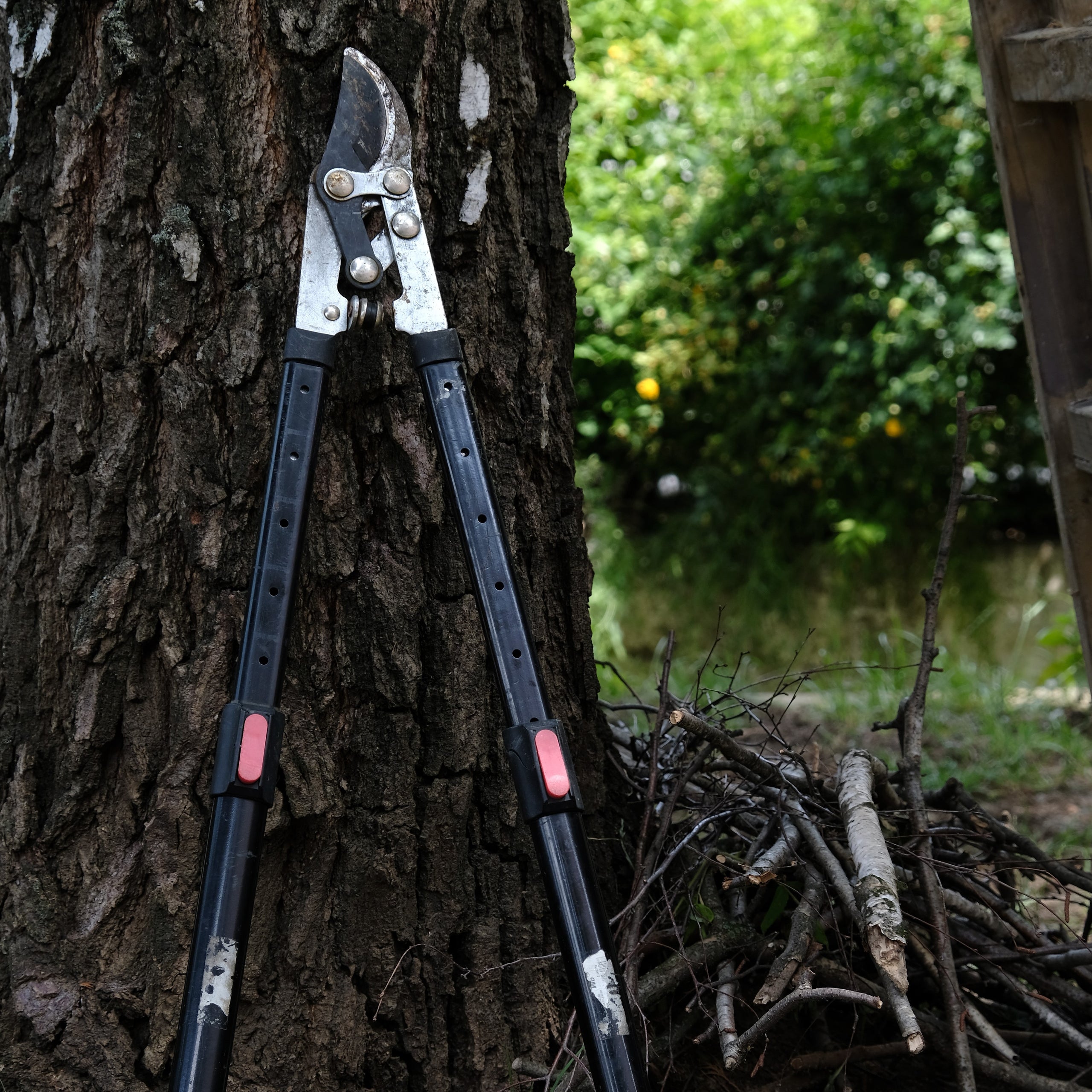 All about Tools and Garden Equipment
