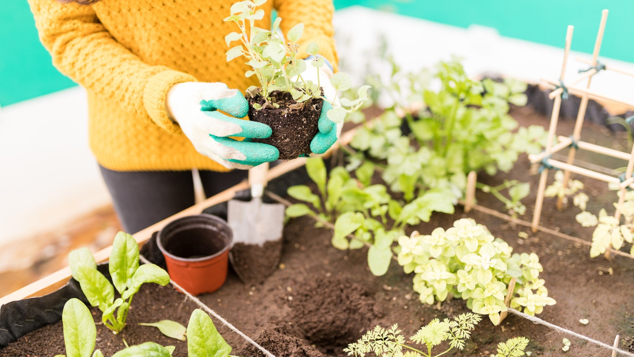 Safe Soil Handling
