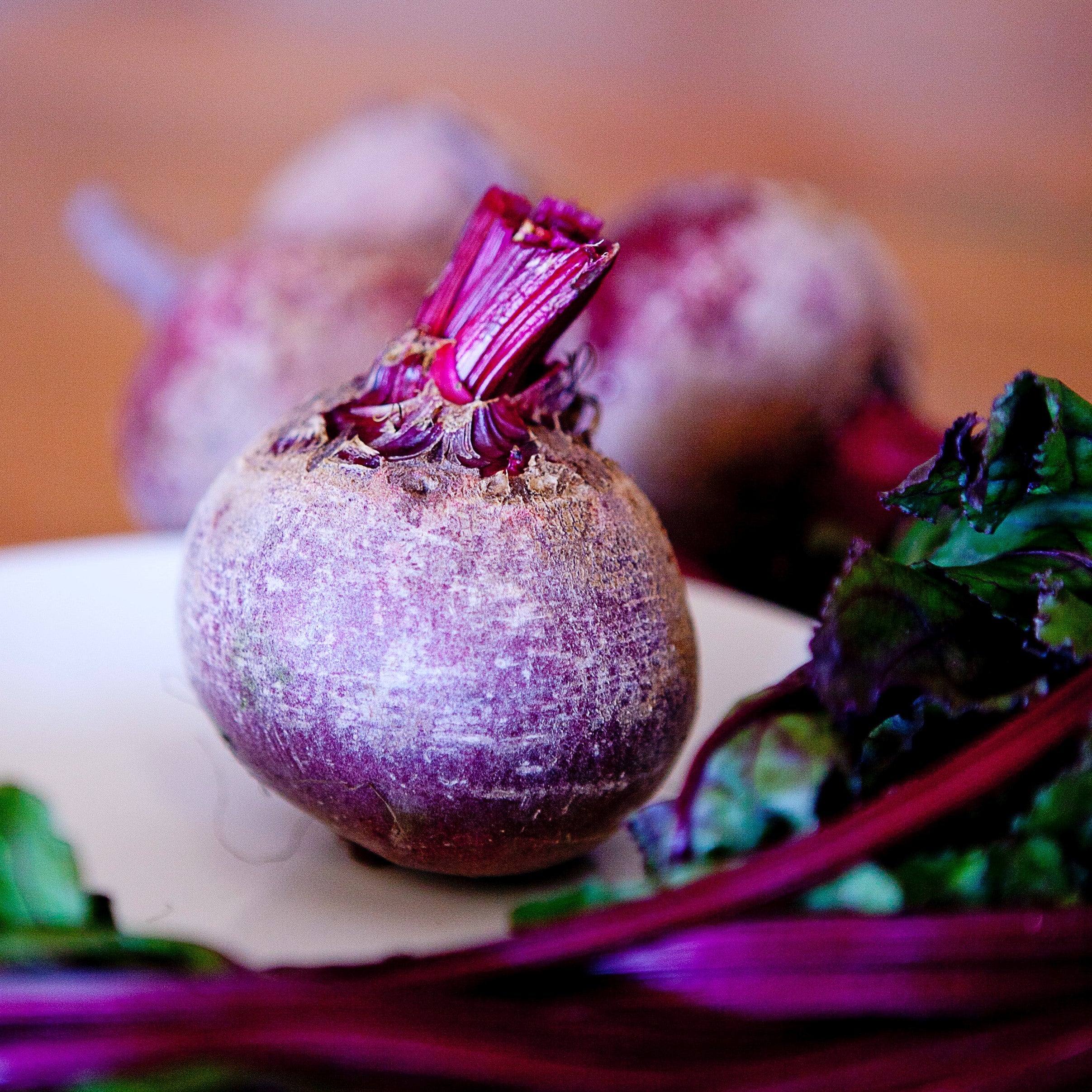 Winter Veggie Planting | Kings Plant Barn