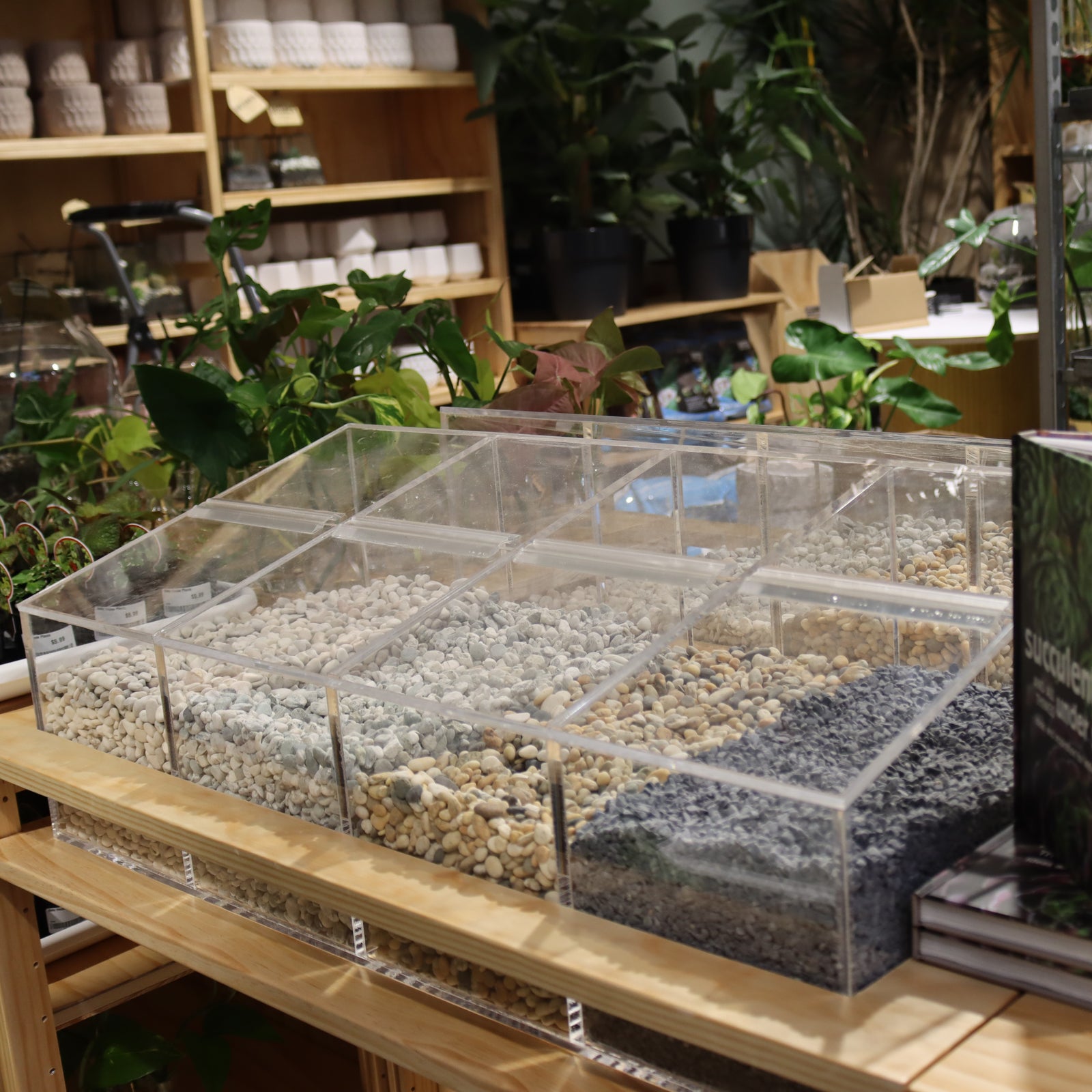 Introducing Kings Plant Barn Stonefields