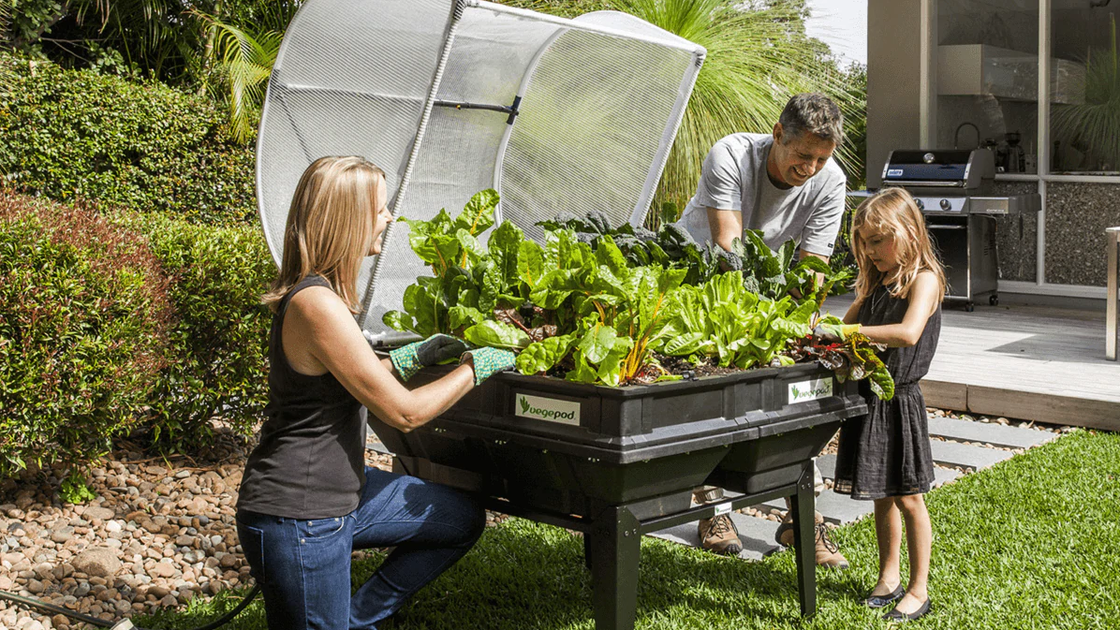 Vegepod Raised Garden Beds