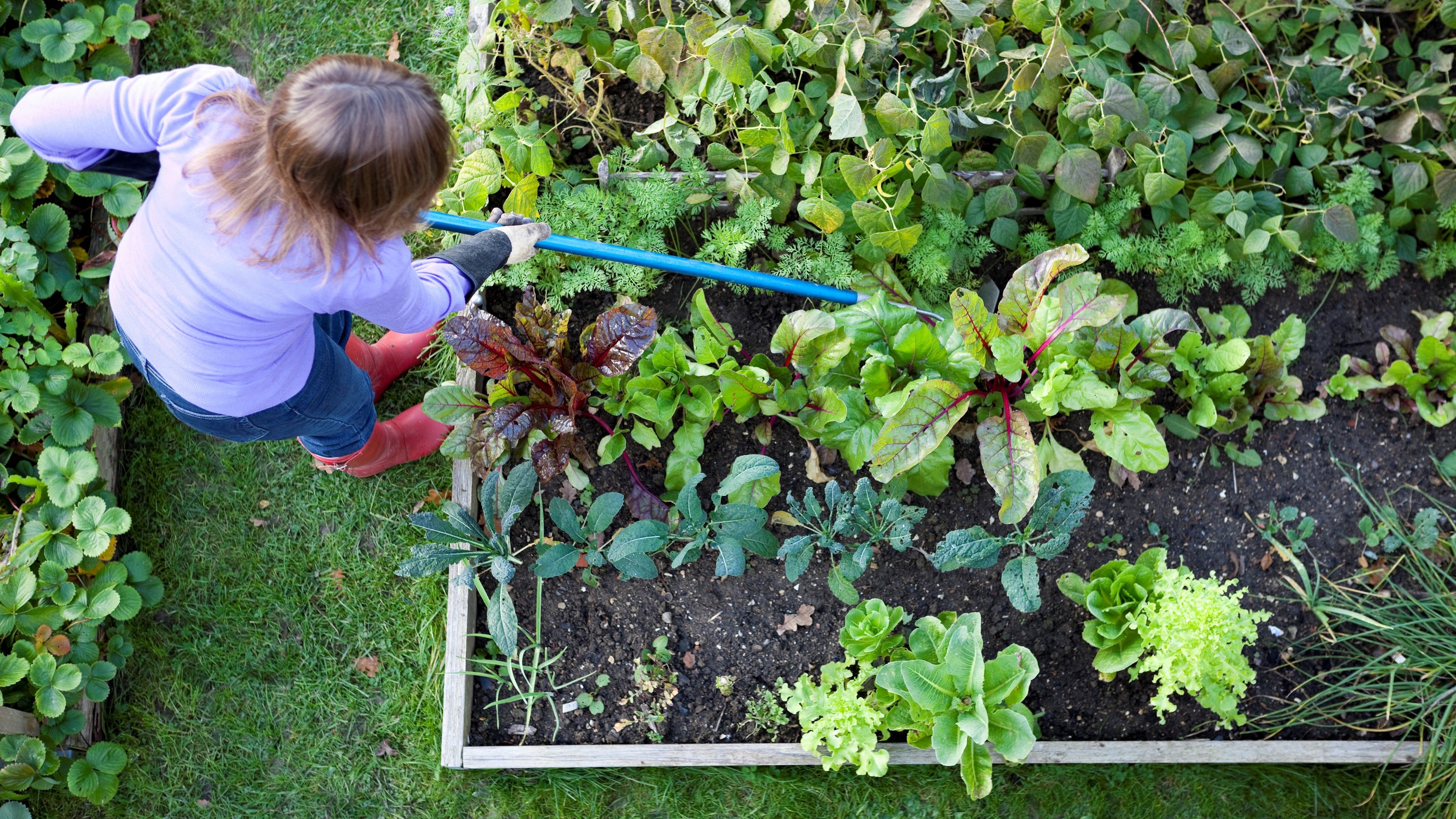 Growing Organically