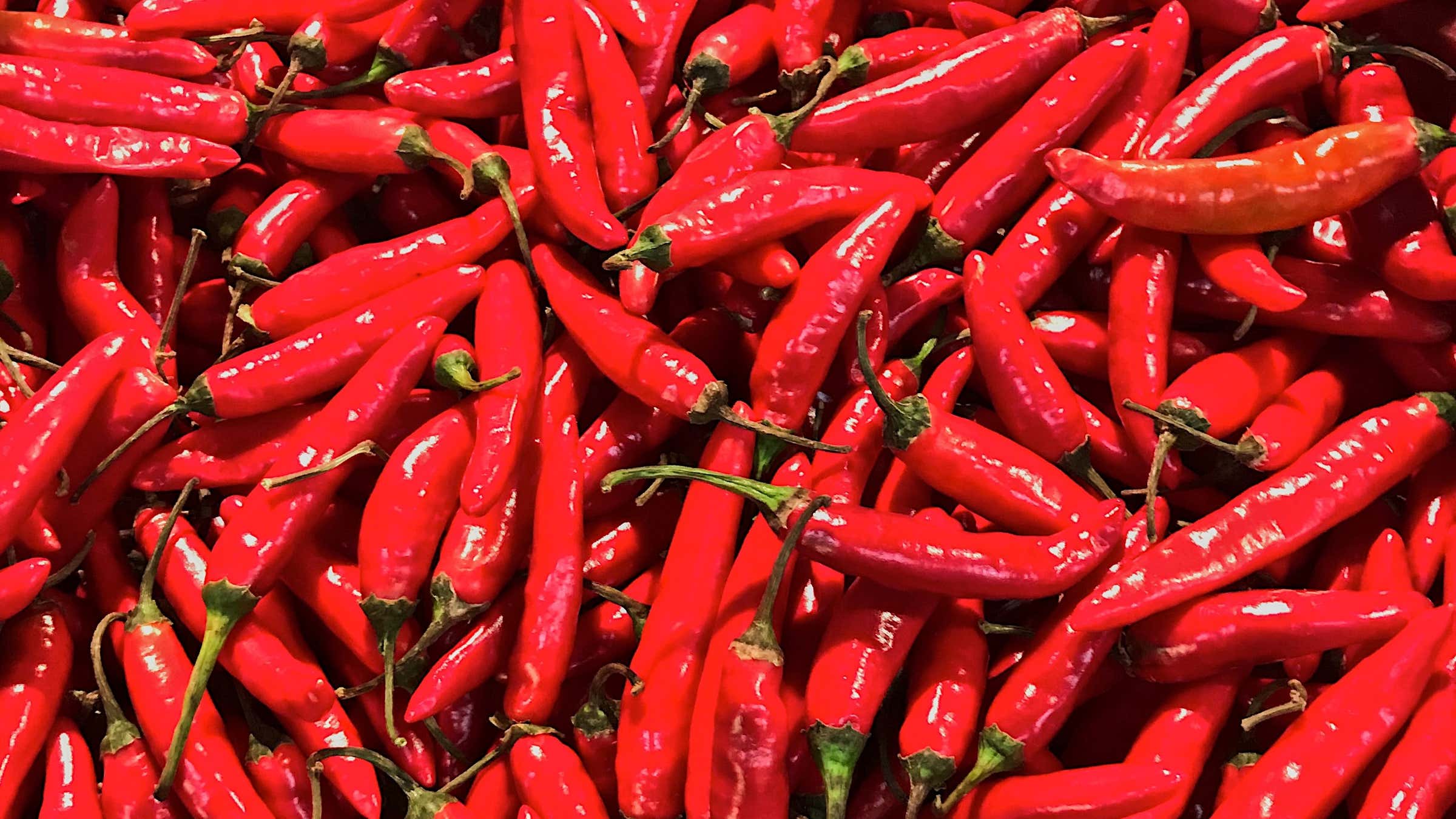 Spice Up Your Life By Growing Chillies