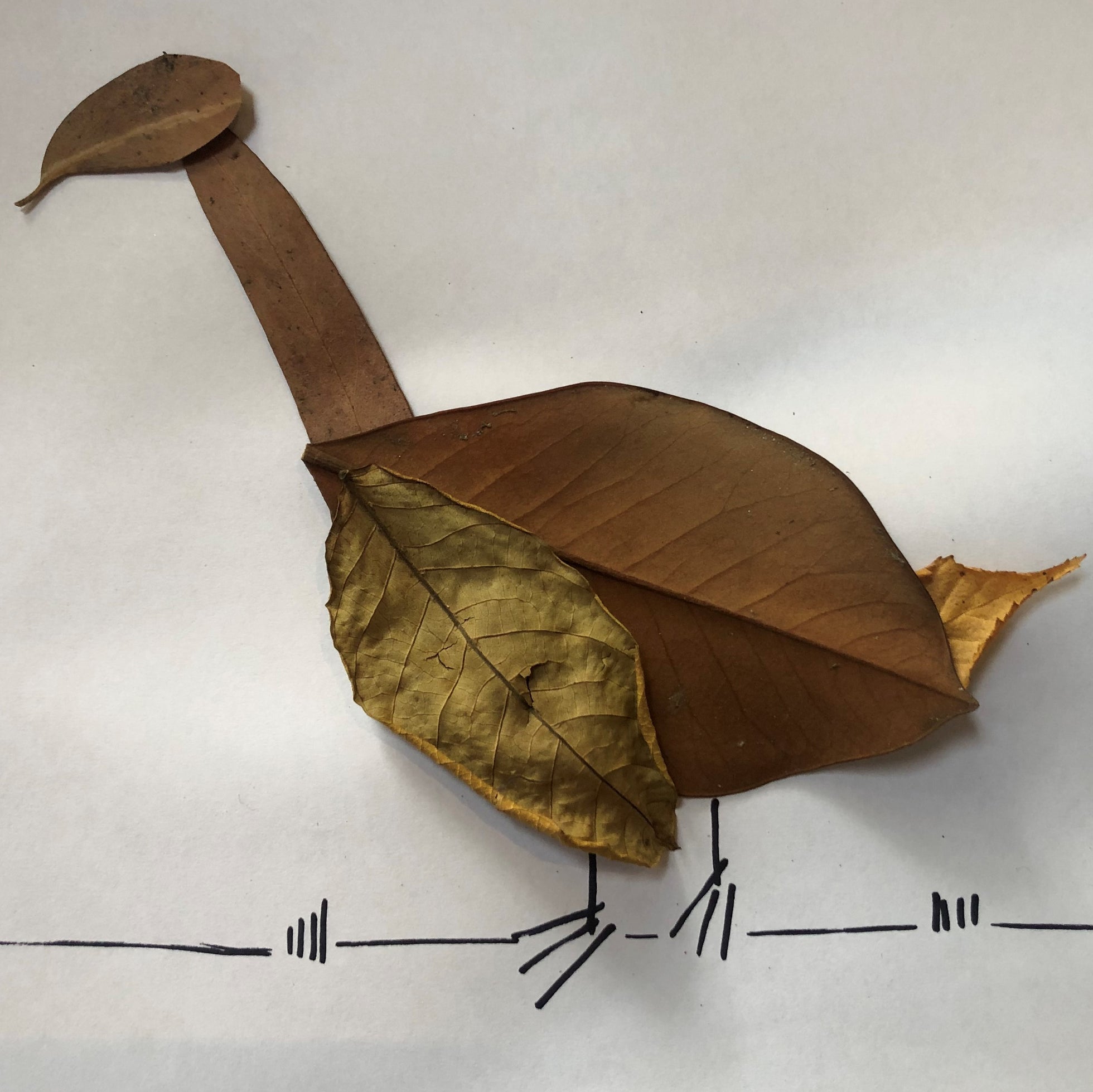 Little Growers Activity: Leaf Collage Animals