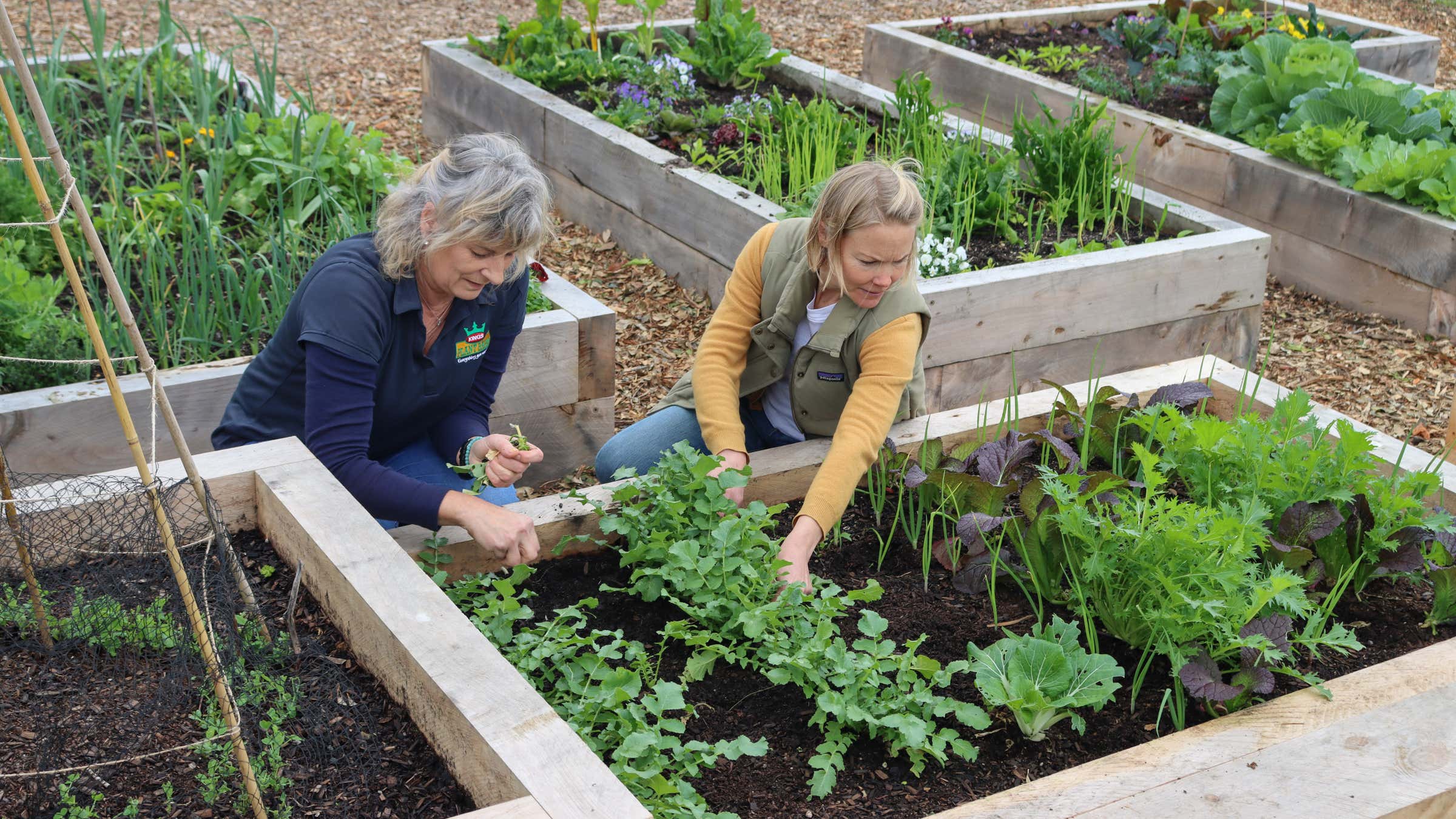 Passionate Plant People: The Heart of Growing Community