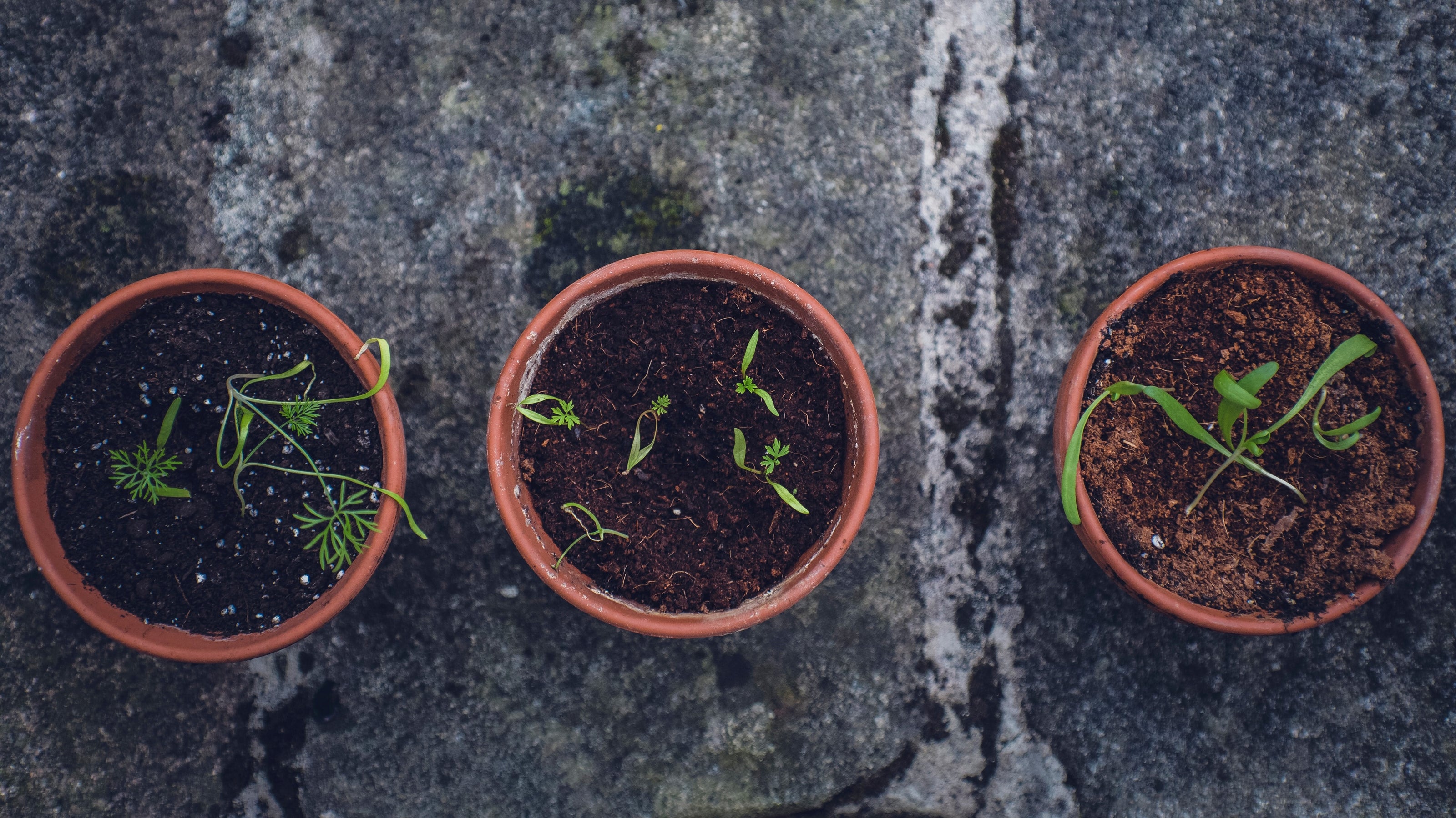 Choosing the right mix