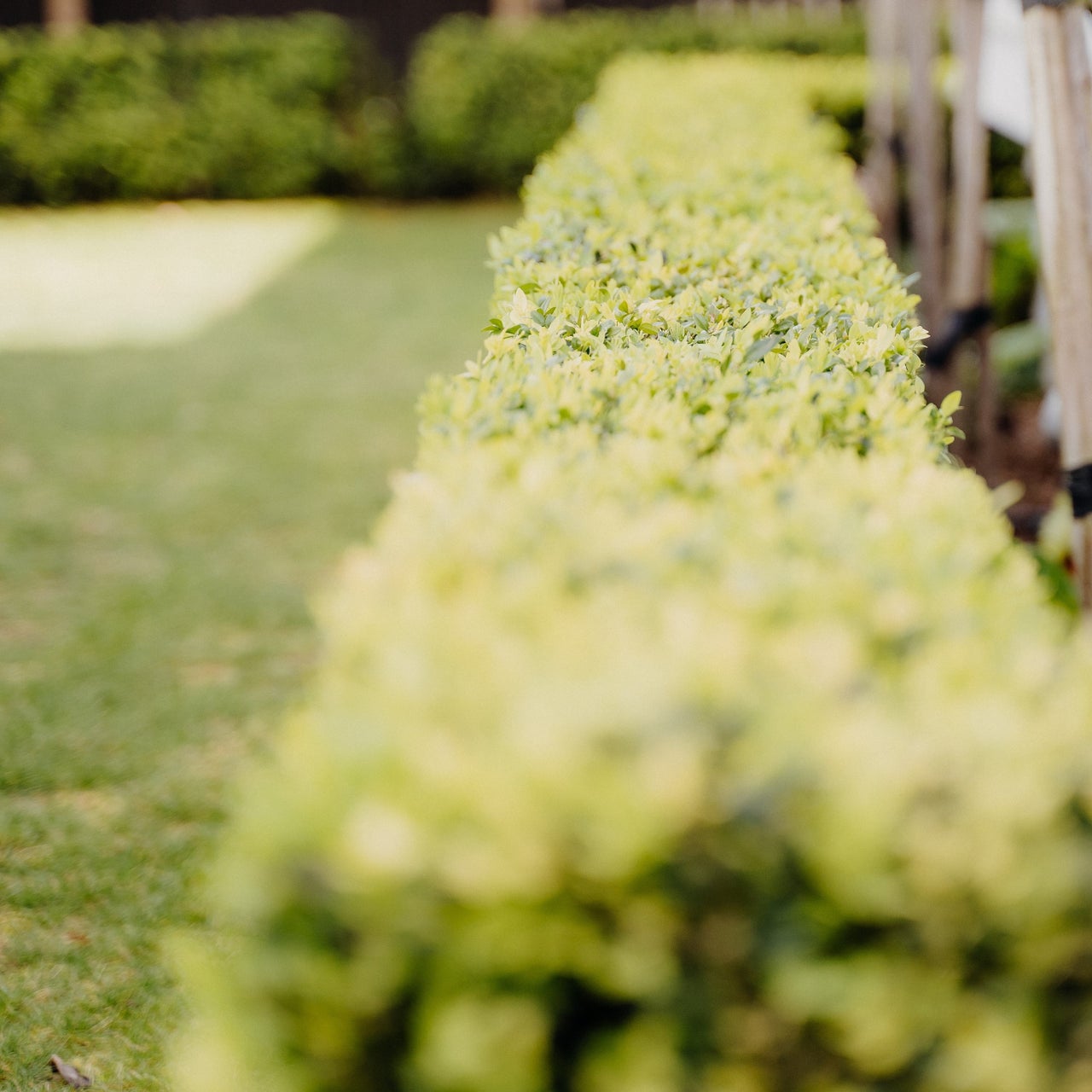 Love your Autumn Garden