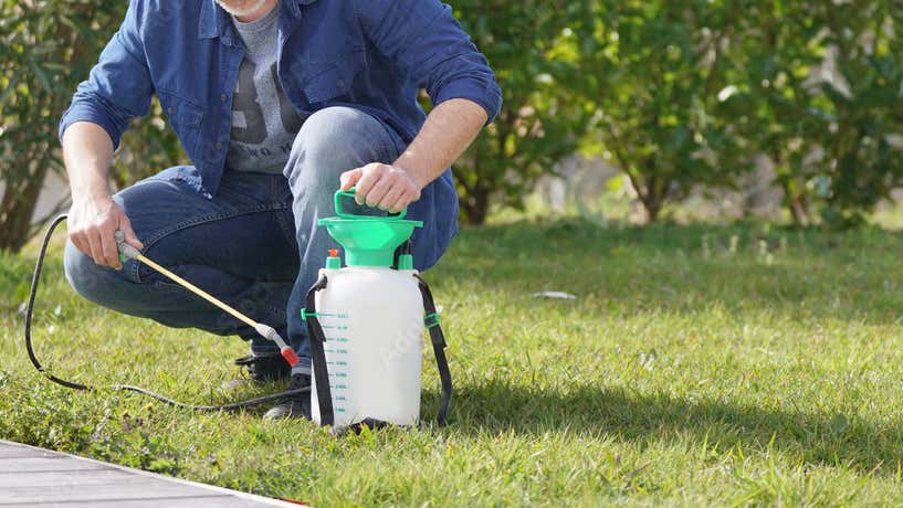 Spraying in the Garden
