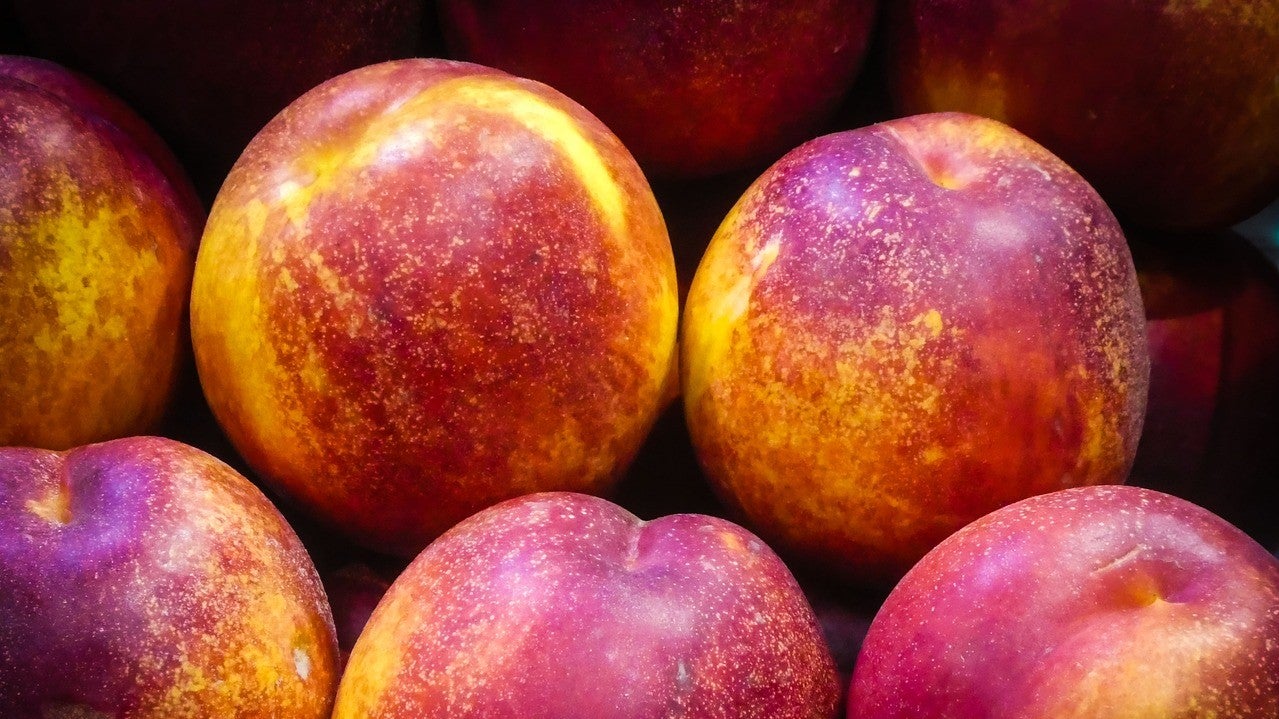 Deciduous Fruit Trees