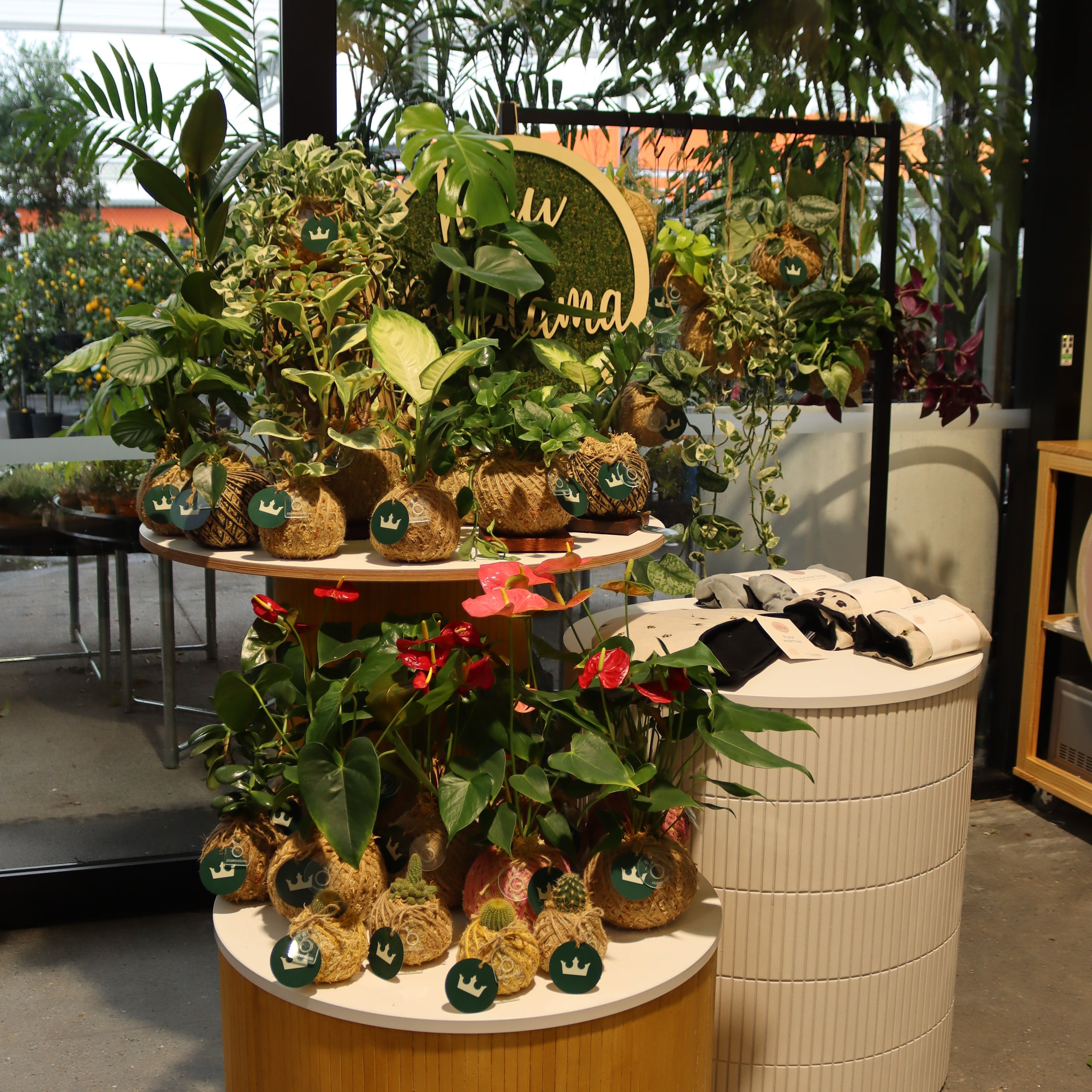 Introducing Kings Plant Barn Stonefields