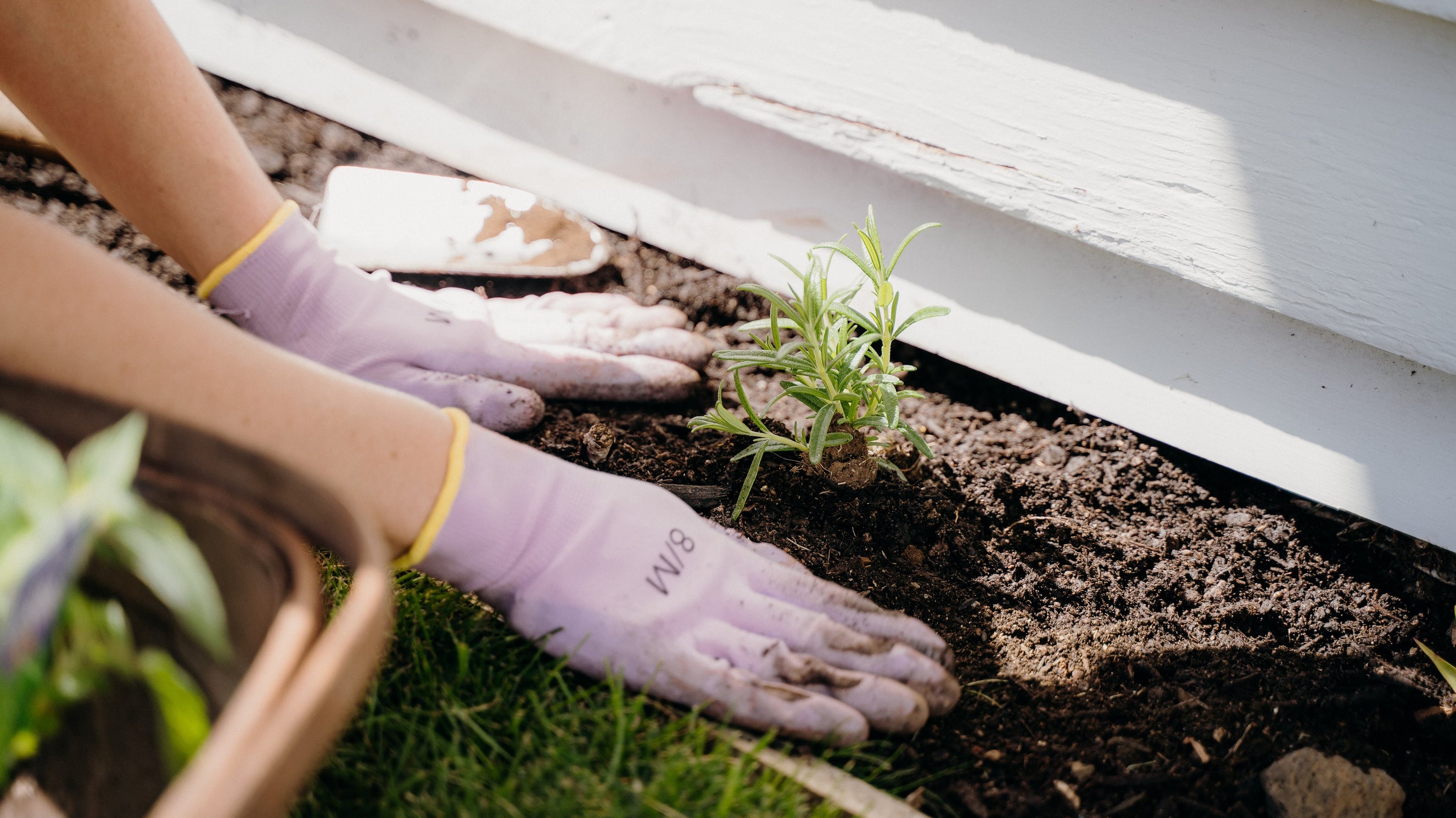 Safe Soil Handling