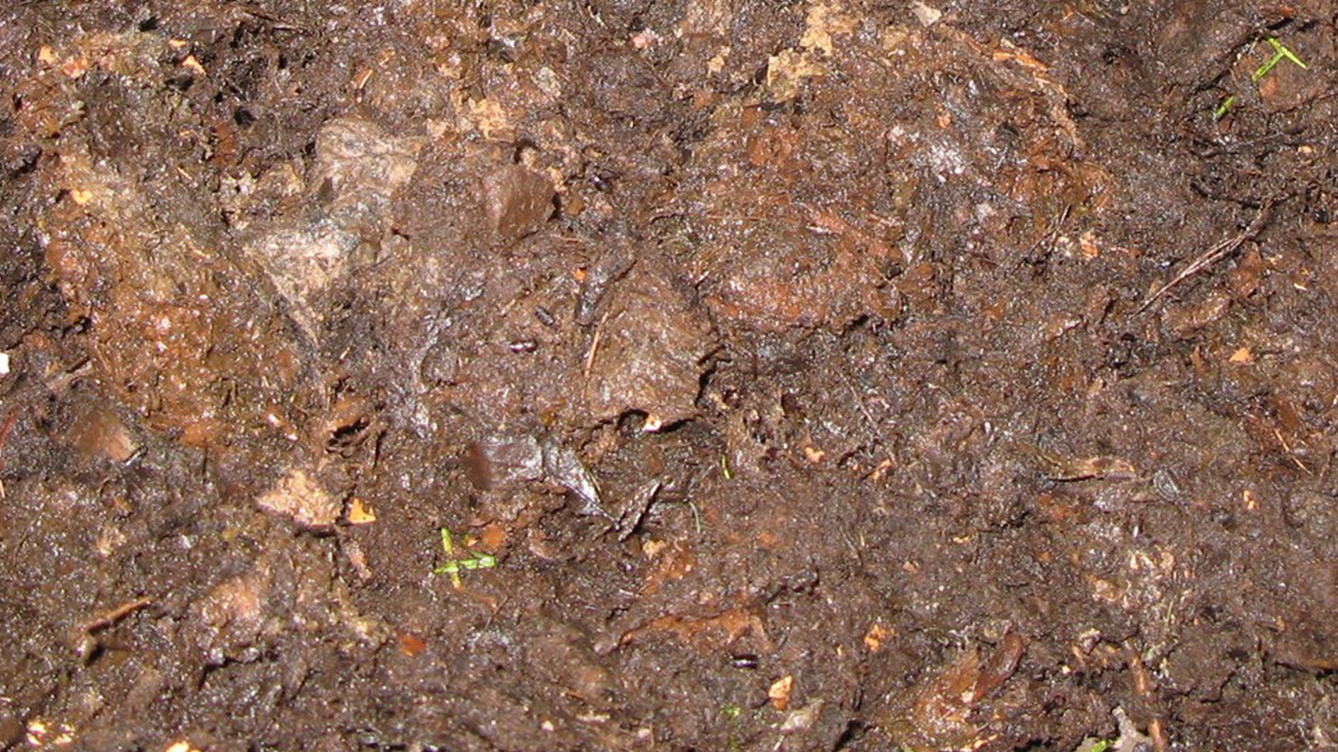 Making Your Own Compost