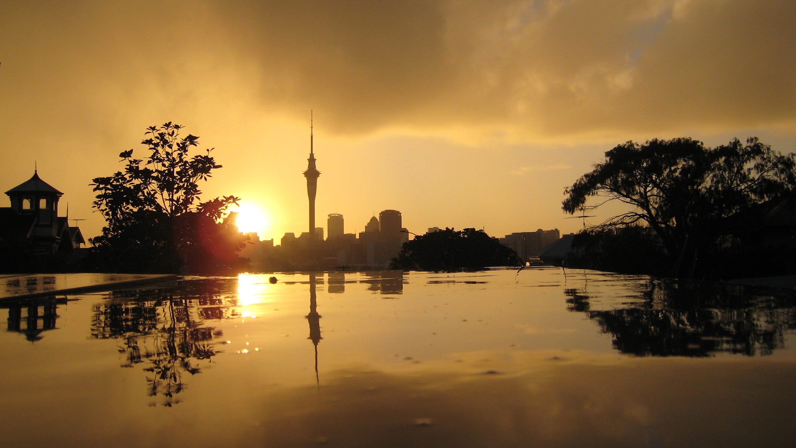 Weather Auckland's Climate with a Resilient Garden