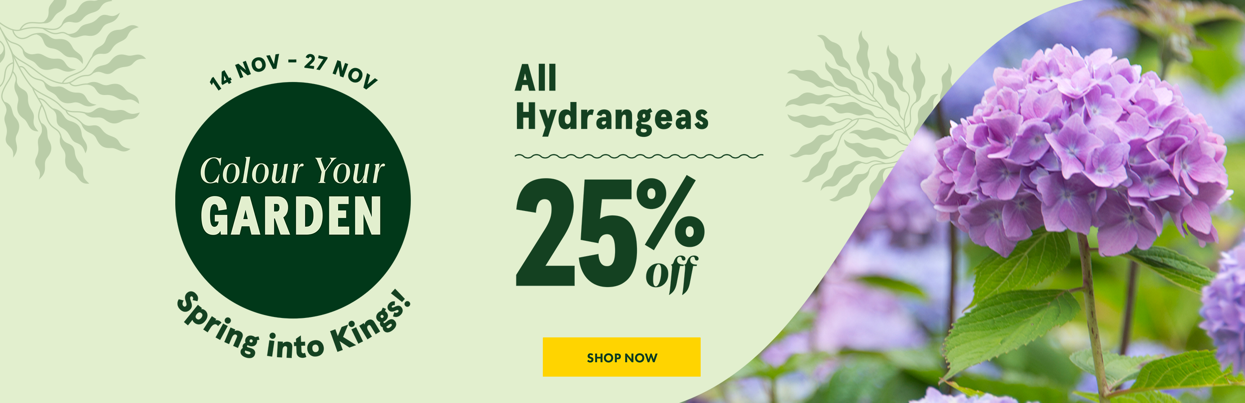 Kings Plant Barn | NZ Garden Centres, Shop Online, Cafes