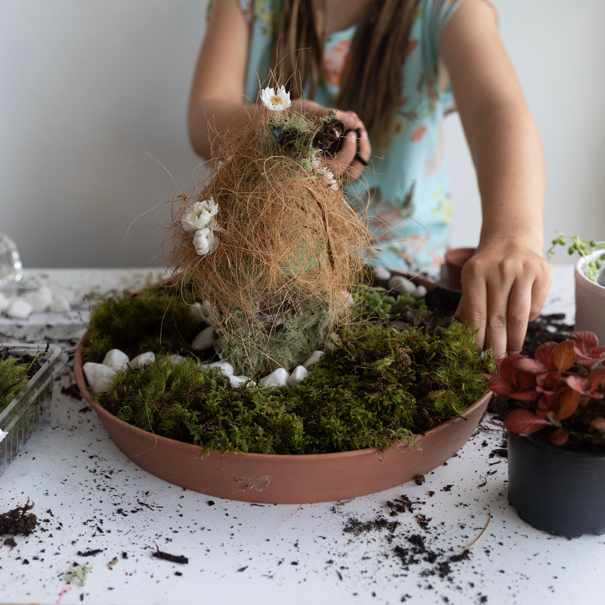 Make your own fairy garden