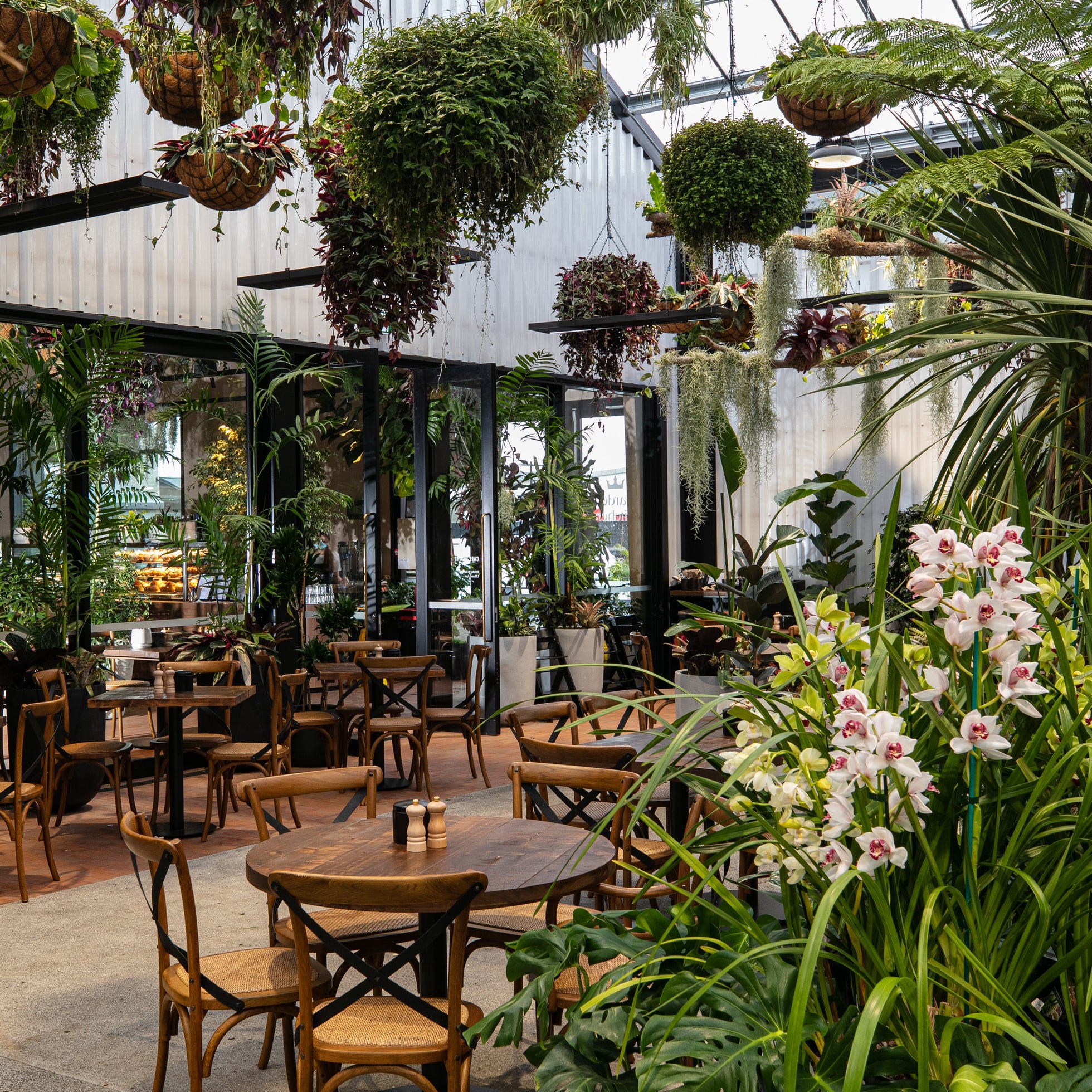 Introducing Kings Plant Barn Stonefields