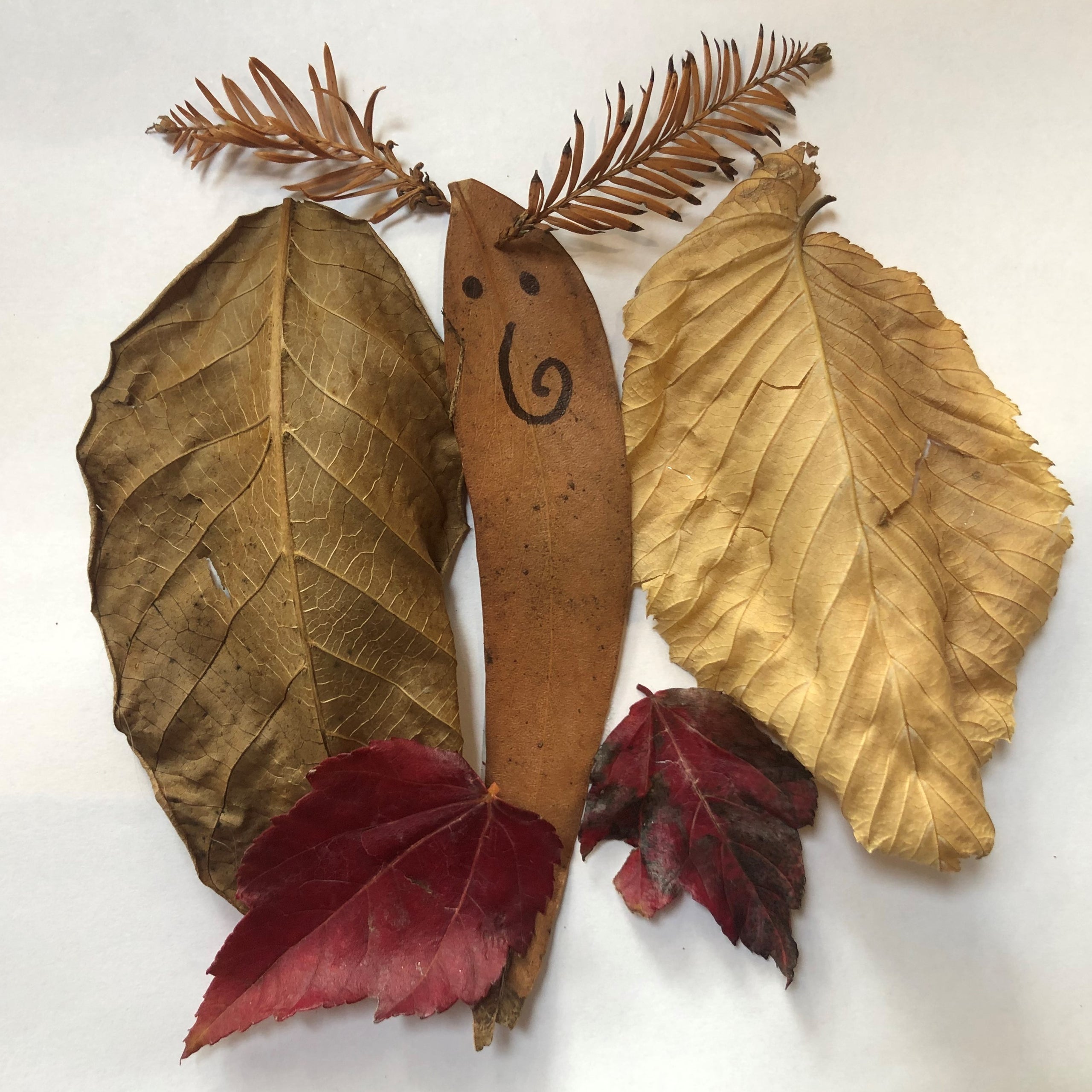 Little Growers Activity: Leaf Collage Animals
