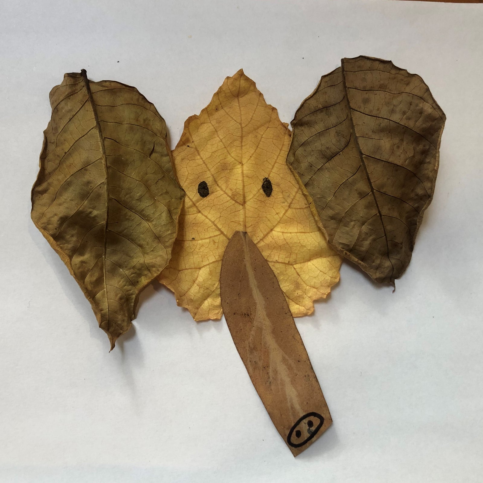 Little Growers Activity: Leaf Collage Animals