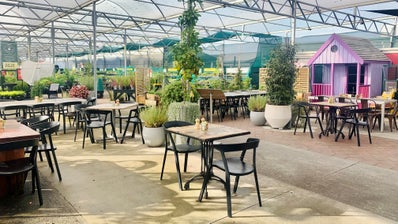 Cafes | Kings Plant Barn | NZ Garden Centres, Shop Online, Cafes