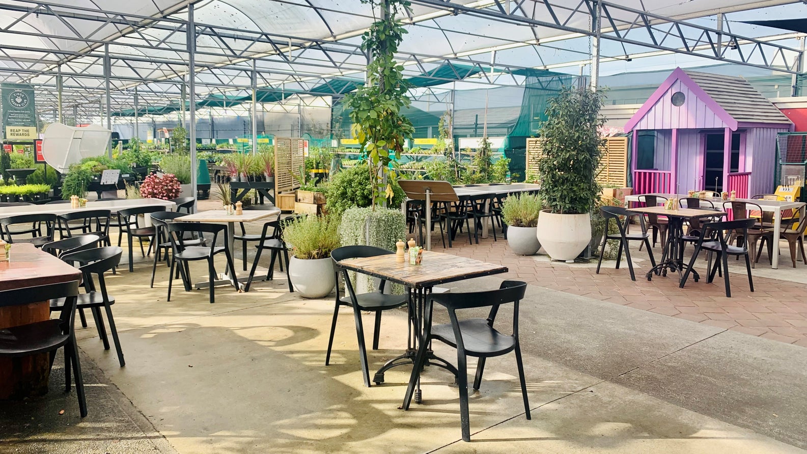 Cafes | Kings Plant Barn | NZ Garden Centres, Shop Online, Cafes