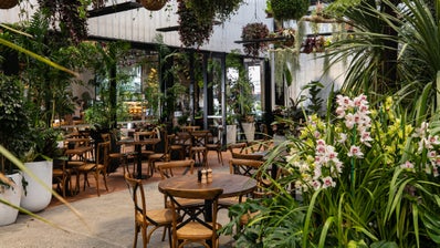 Cafes | Kings Plant Barn | NZ Garden Centres, Shop Online, Cafes
