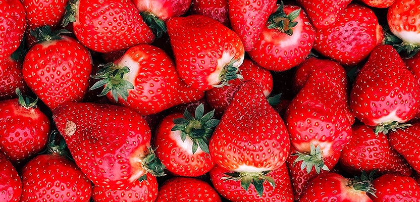 Strawberries - Grow Well Guides | Kings Plant Barn | NZ Garden Centres ...