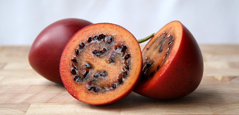 Tamarillos - Grow Well Guides | Kings Plant Barn | NZ Garden Centres ...