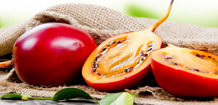 Tamarillos - Grow Well Guides | Kings Plant Barn | NZ Garden Centres ...