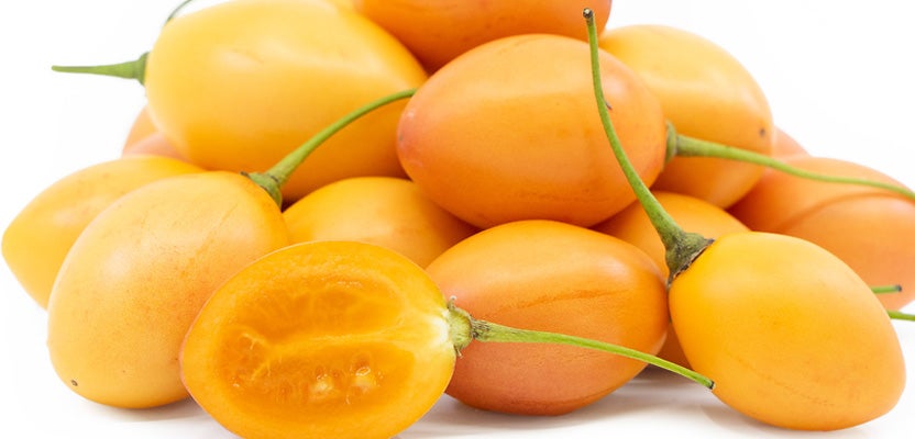 Tamarillos - Grow Well Guides | Kings Plant Barn | NZ Garden Centres ...