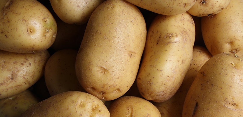 Potatoes - Grow Well Guides | Kings Plant Barn | NZ Garden Centres ...