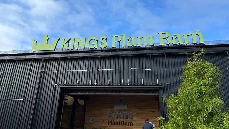Kings Plant Barn | NZ Garden Centres, Shop Online, Cafes