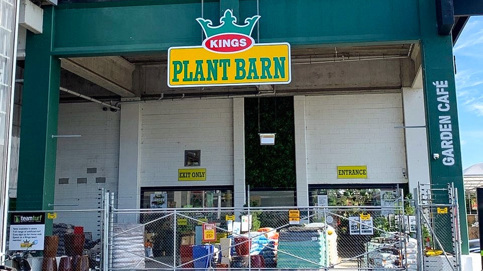 Kings Plant Barn | NZ Garden Centres, Shop Online, Cafes