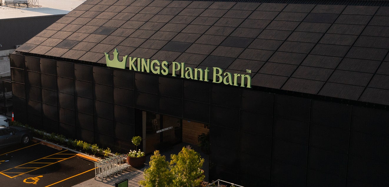 Kings Plant Barn | NZ Garden Centres, Shop Online, Cafes